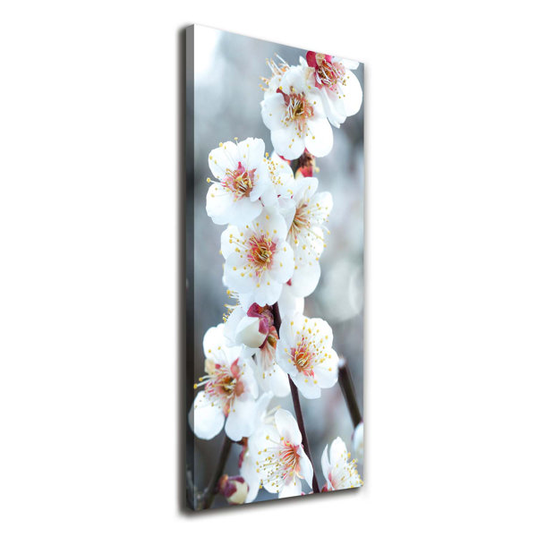 Brayden Studio Kirschblüten - Kunstdrucke auf Leinwand - Wrapped Canvas | Wayfair.de